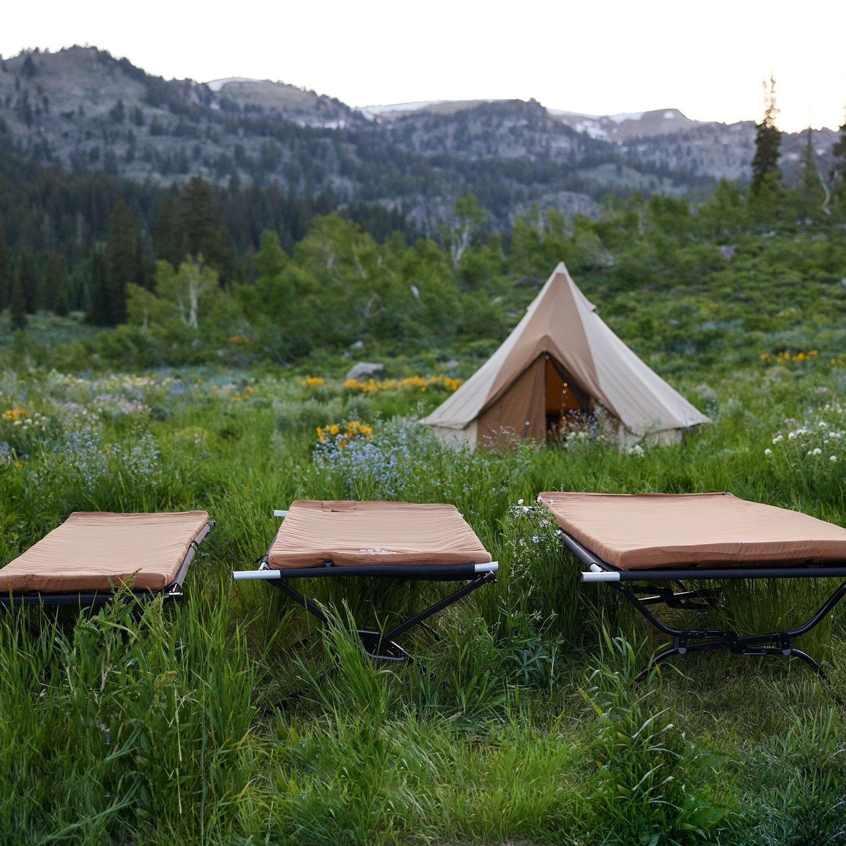 TETON Sports Outfitter XXL, Universal, and Adventurer Camp Cot Sleeping ...