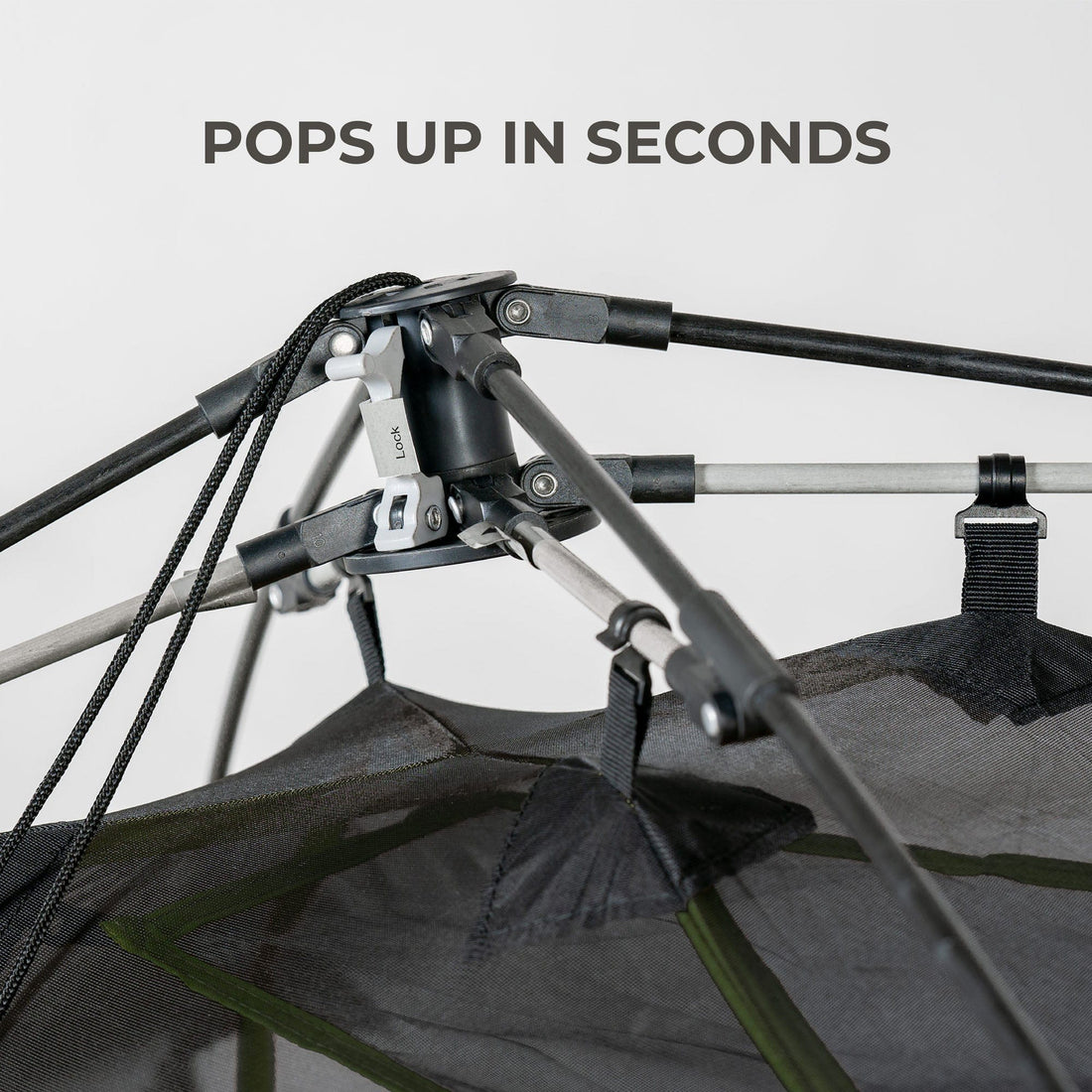 Teton Vista 1-Person and Vista 2-Person Quick Tents